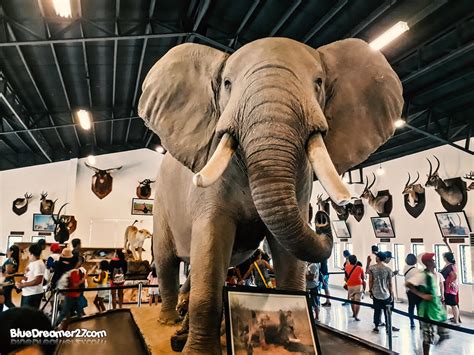 Exploring Ilocos Baluarte Ni Chavit Its Me Bluedreamer