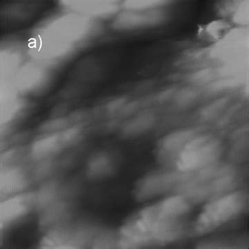 Afm Images 2 × 2 μm Of 5 Hours Milled Diatomite A Topography B
