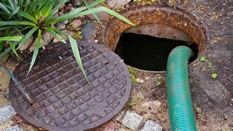 Your Guide To Septic Tank Cleaning How Often To Do It Forbes Home