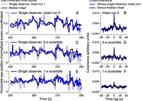Figure 2 From Temporal Eye Movement Strategies During Naturalistic