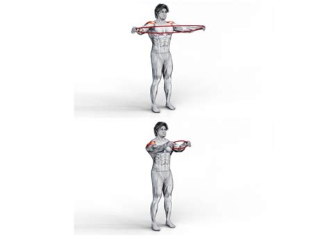 10 Best Weight Bearing Exercises For Adults Over 50