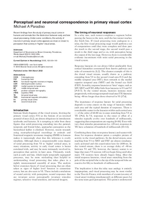 Pdf Perceptual And Neuronal Correspondence In Primary Visual Cortex