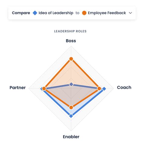 Leadership Role Compass Effectory
