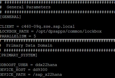 configuring data domain for sap hana dell validated design for sap