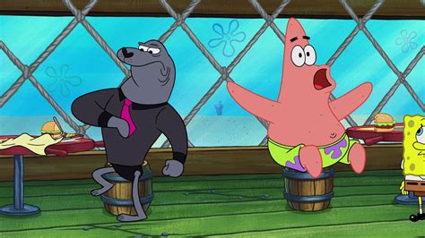 Seal Customergallery Encyclopedia Spongebobia Fandom