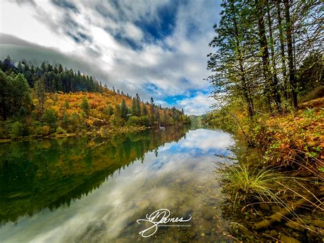 Lewiston Lake Peaking Pretty California Fall Color