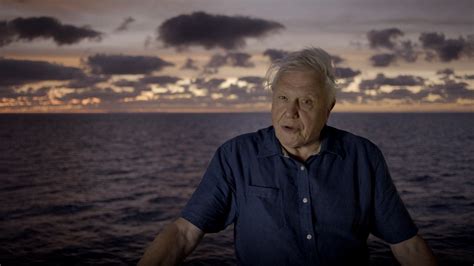 Prime Video David Attenboroughs Great Barrier Reef Season 1