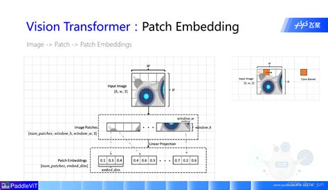 vit学习（一） vit patch embedding csdn博客