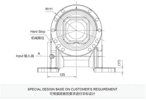 Slew Drive Gearbox Fh