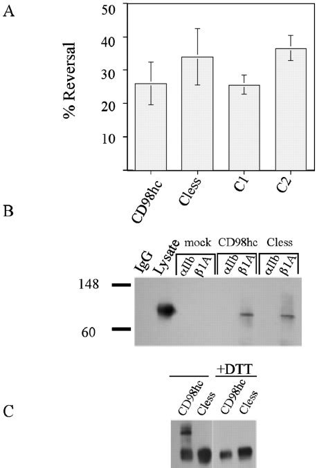 Distinct Domains Of Cd98hc Regulate Integrins And Amino Acid Transport