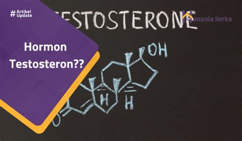 Hormon Testosteron Hanania Serka