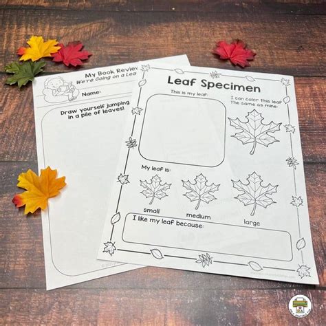 Leaf Specimen Science Activity Preschool Books Book Companion
