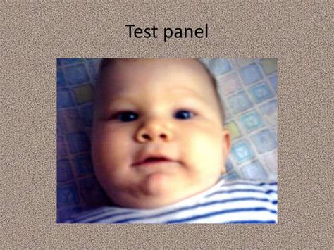 Test Panel Ppt