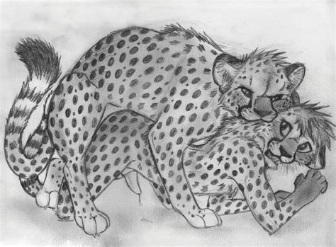 Rule 34 2015 All Fours Animal Genitalia Anthro Anthro On Feral Bite