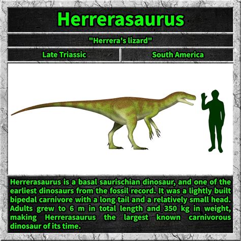 Newtonsaurus