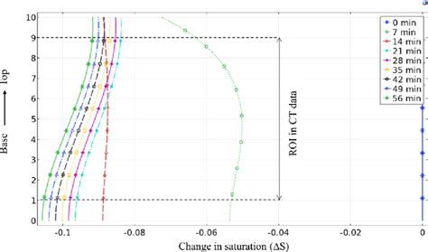 Distribution Of Local Temporal Saturation From Numerical Simulations