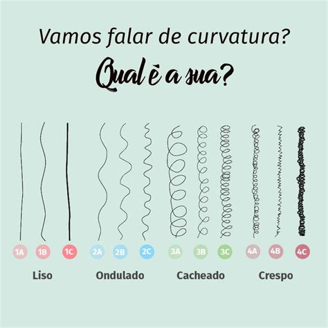 Tabela De Tipos De Cabelo Descubra Sua Curvatura 3a Curly Hair Curly