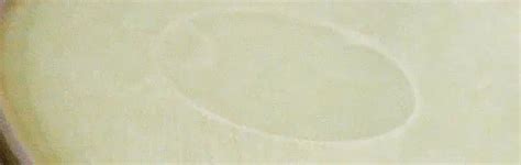 Surface Flaws Warm Glass