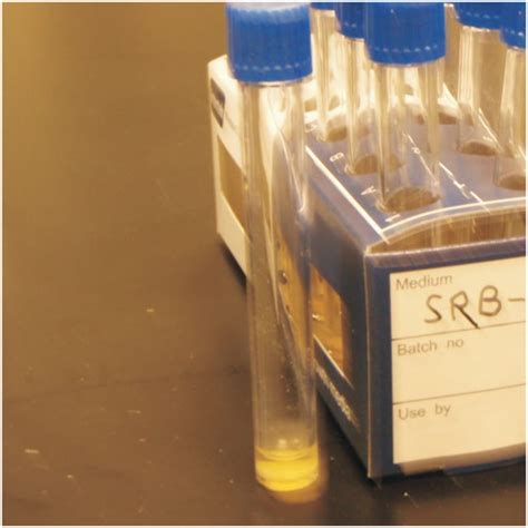 Intertek™ Mic Test Kit Petroleum Microbiology Media Sulfate Reducing