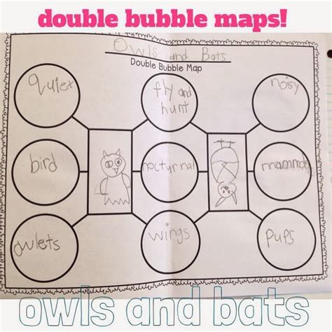 Double Bubble Map Template Delightdenis Double Bubble Map Template Delightdenis