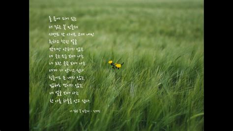 시 낭송 꽃에 관한 시 강현구의 릿 투어 Youtube