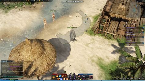 Lost Ark 로스트아크 워로드50레벨 291레벨 비키니 아일랜드 섬의 마음과 모코코 3개 획득 Youtube