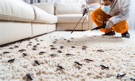 Photo Of An Opening Furniture Leg With Cockroaches Running Out 46370925