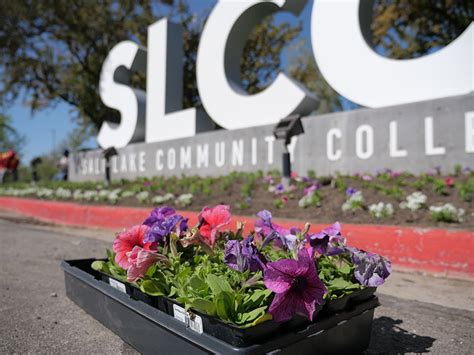 Slcc