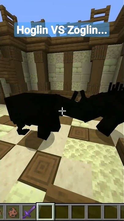 Hoglin Vs Zoglinwatch Till The End Minecraft Shorts Build