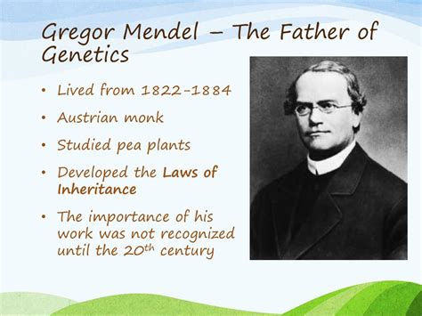 Ppt Genetics Powerpoint Presentation Free Download Id 3133328