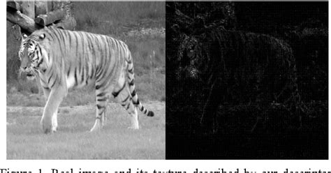Figure 1 From Texture Image Segmentation Using A New Descriptor And