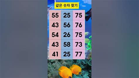 🧠 같은숫자퀴즈 채널에 오신 것을 환영합니다 같은숫자 같은숫자찾기 같은숫자퀴즈숫자퀴즈 숫자게임 숫자3개찾기
