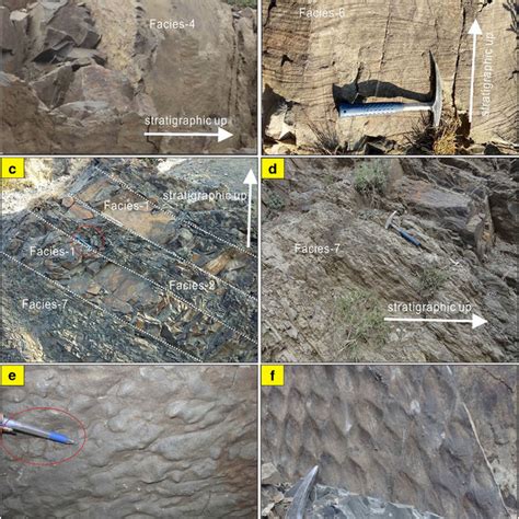 Qfl Triangular Diagram A Showing The Classification Of Sandstone Of Download Scientific