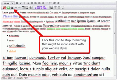Strip MS Word Formatting Blog
