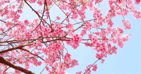 【python】クラス（3 設計｜susuki