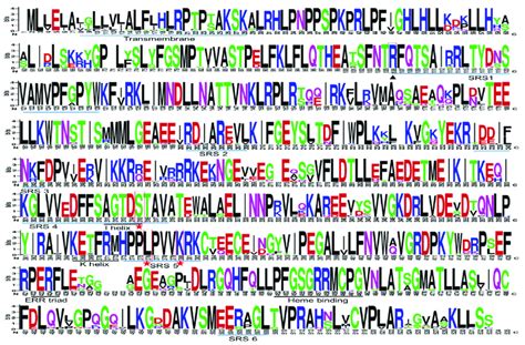 Sequence Logos Of The Multiple Sequence Alignments Of The 139 Ifs Amino