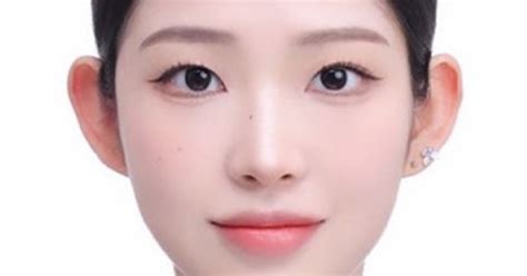 ‘故 최진실 딸 최준희 여권 사진 공개엄마 닮은 요정 미모