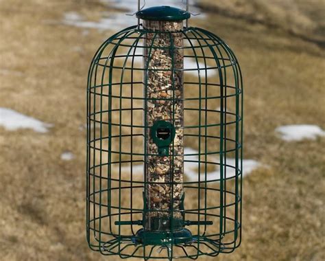 6 Squirrel Proof Bird Feeders That Actually Work Bird Watching Hq