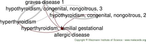 Hyperthyroidism Familial Gestational Disease Malacards Research