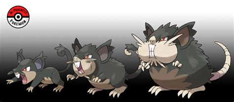 Rattata Evolution