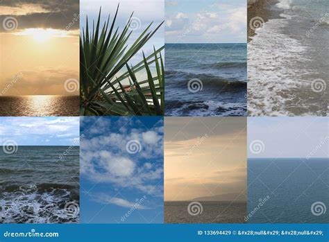 Collage De Los Paisajes Del Mar Imagen De Archivo Imagen De Collage