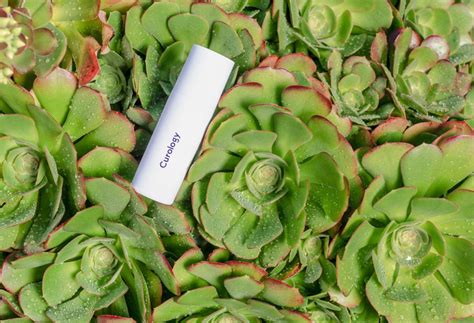 Pumpspy Sump Pump Vertical Float Switch Review Plumbing Circle