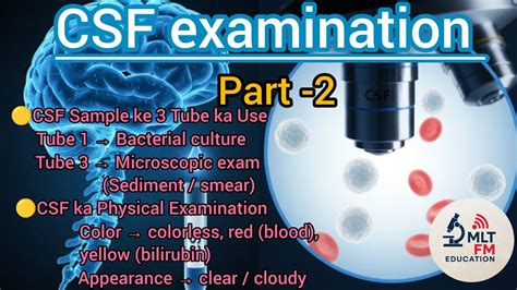Csf Examination Part 2 Tube Usage Physical Findings And Microscopic