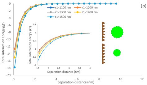 Simulation And Experimental Analysis Of Microalgae And Membrane Surface