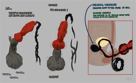 Rule 34 2024 Absurd Res Animal Genitalia Animal Penis Anthro Ball