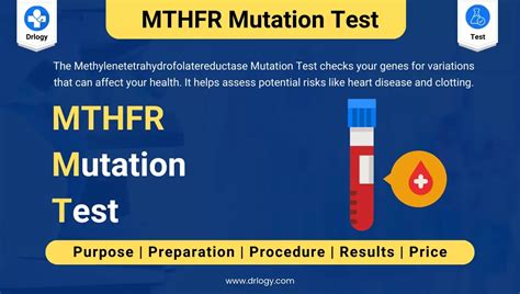 Mthfr Mutation Test Price Purpose Normal Range And Results Drlogy
