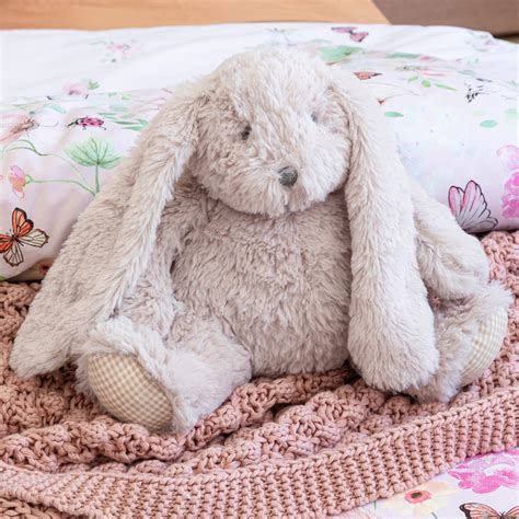 Chubby Bunny Rabbit