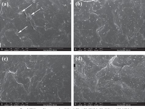 Figure 2 From Thermoplastic Isotactic Polypropylene Ethylene Octene Polyolefin Copolymer