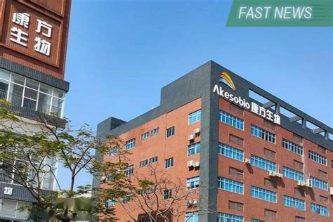 Fast News Akeso Raises 247 Million Through Share Placement Bamboo