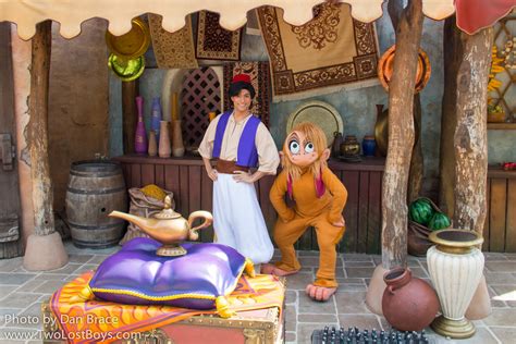 Disneyland Aladdin